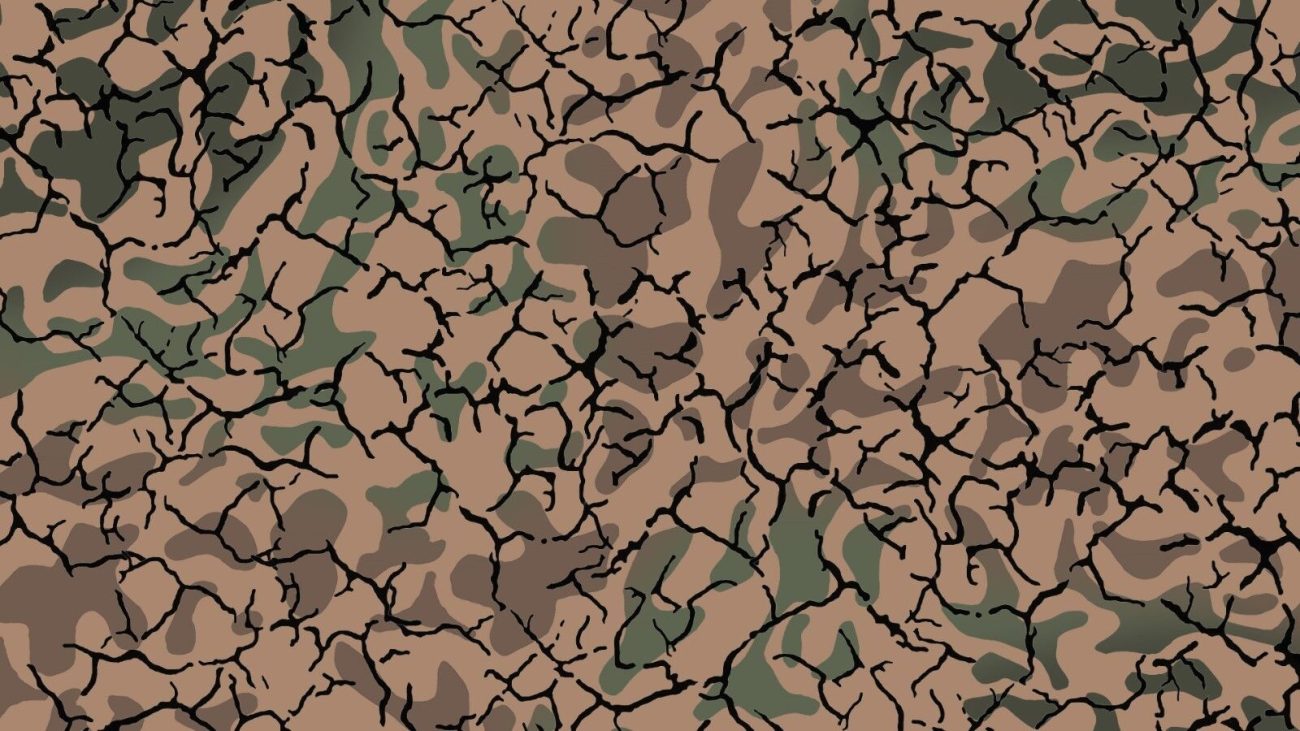 MULTICAM (2 Pack Same Design) - Camo Stencils for your Camouflage ...